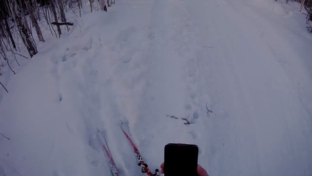 Январское хождение с костром