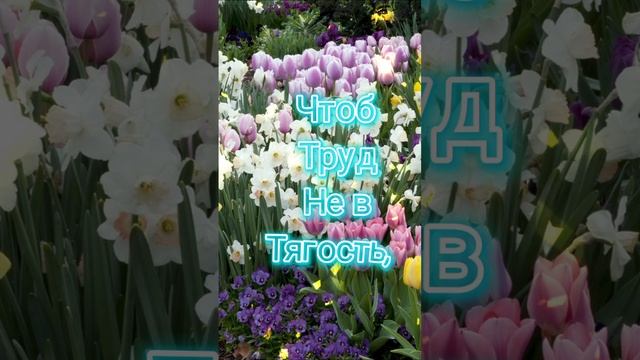 С 1 мая