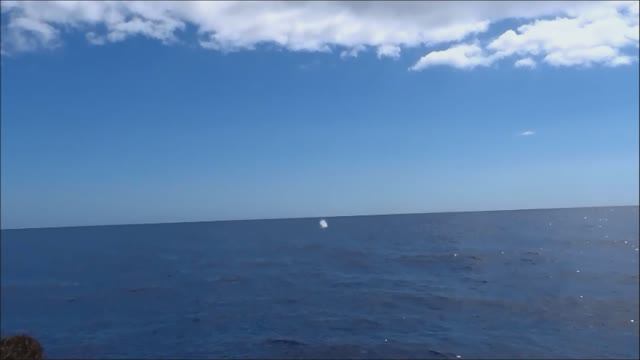 Морское сафари от Ventura