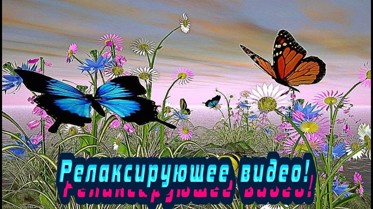 Видеоклипы и Хромакей! Релаксирующее видео.