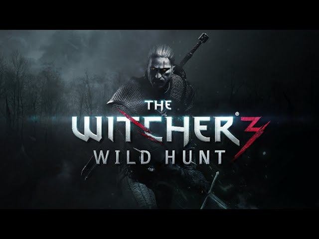 The Witcher 3 Ведьмак 3 Дикая охота  Бой с людьми