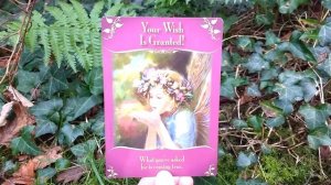 Daily Oracle Card Reading 11th December Your wish is Granted Fairy Tarot