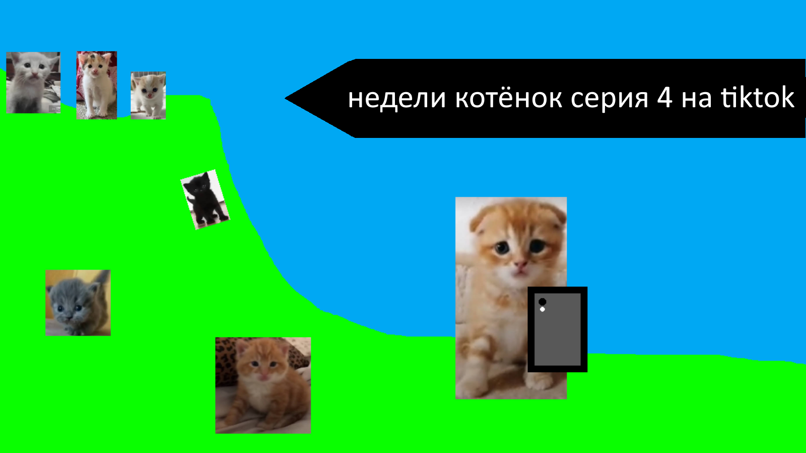 Недели котёнок серия 4 на tiktok