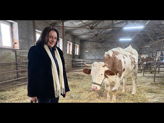 Клонированная корова Цветочек