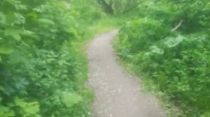 прогулка у озера