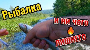 Тонны хариуса в такой мелкой глухой реке #рыбалка #хариус #путешествие #лето #отпуск #кайф