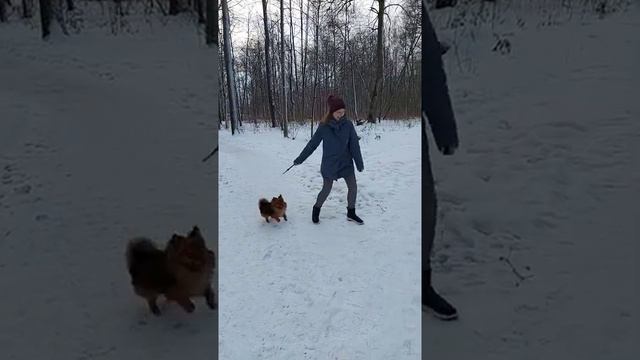 #adam?Милана Филимонова?Новогодний трек☃️#shorts #tiktok.mp4