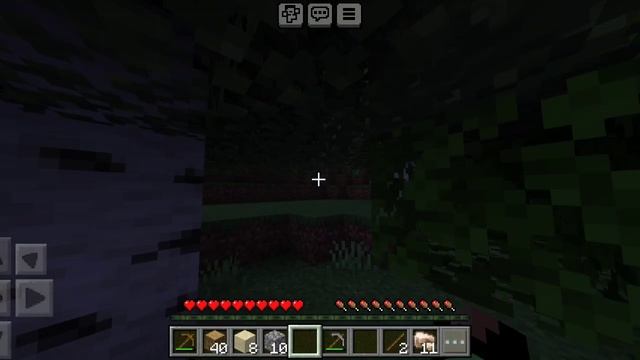 я выживаю в мире Minecraft pe