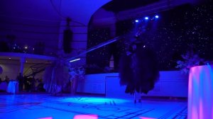 Эксклюзивное световое шоу в стиле Гетсби от Salamandra