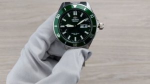 Травянистые Kanno / Orient RA-AA0914E