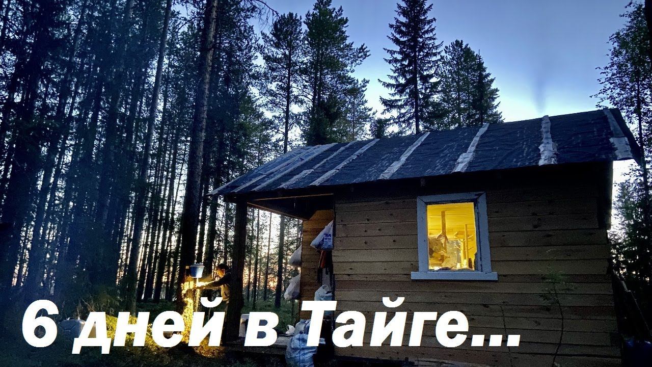 6 ДНЕЙ В ГЛУХОЙ ТАЙГЕ / ЖИВЕМ В ИЗБЕ. РЫБАЛКА и быт в Лесу ч1