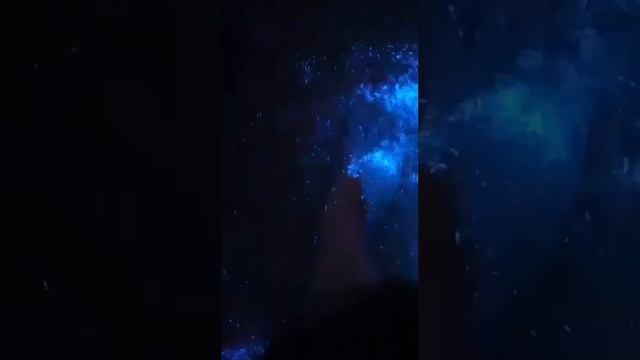 Плесните волшебства))