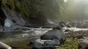Li Hsin Huang (Oblivion Symphonic) - Emerald Paradise & Eternal Renewal [River Ambience].mp4