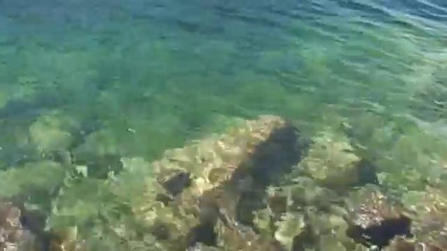 ЖЕМЧУЖИНЫ ДУССЭ-АЛИНЯ.маршрут 2009г..mp4