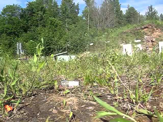 оргтехника vs 12 и 20 калибр