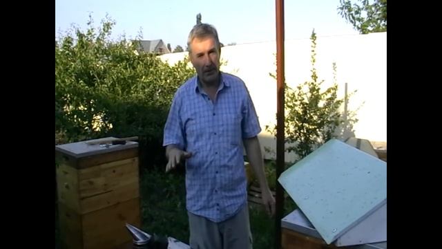 Молодые матки в отводках