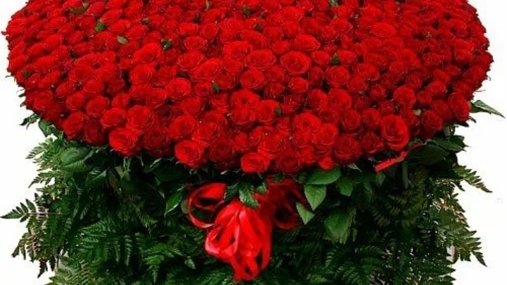 Розы. пародия