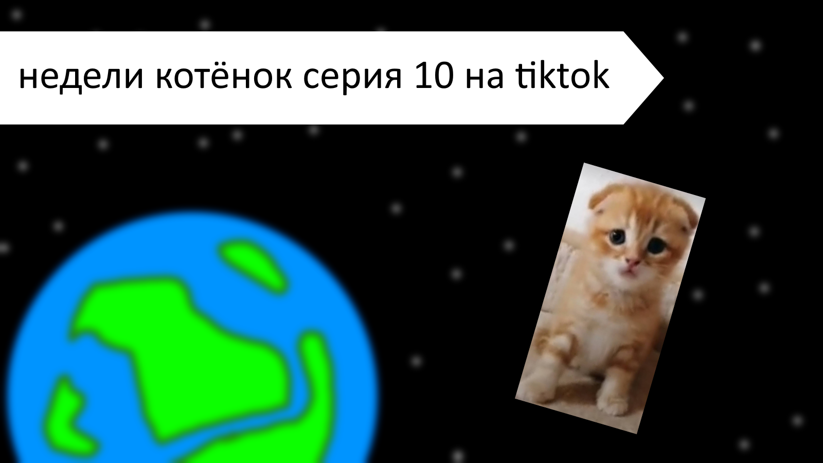 Недели котёнок серия 10 на tiktok