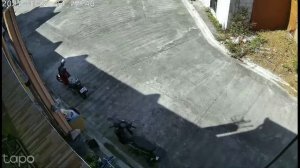 Tapo IP Camera C310 Stress Test (Live View-Day Time) Day 4