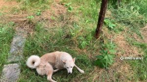 Рыбачим с сыном в гостях у Радика