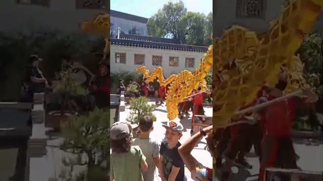 китайский новый год. Ллев