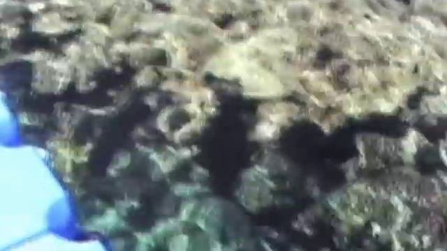 Поездка с дочкой в Египет. Отель Савита часть 7 заключительная.mp4