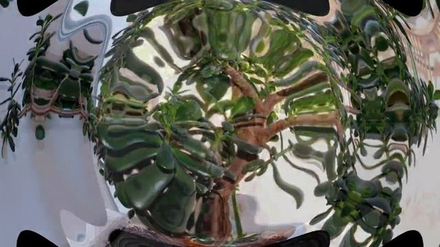 О ДЕНЕЖНОМ ДЕРЕВЕ.mp4