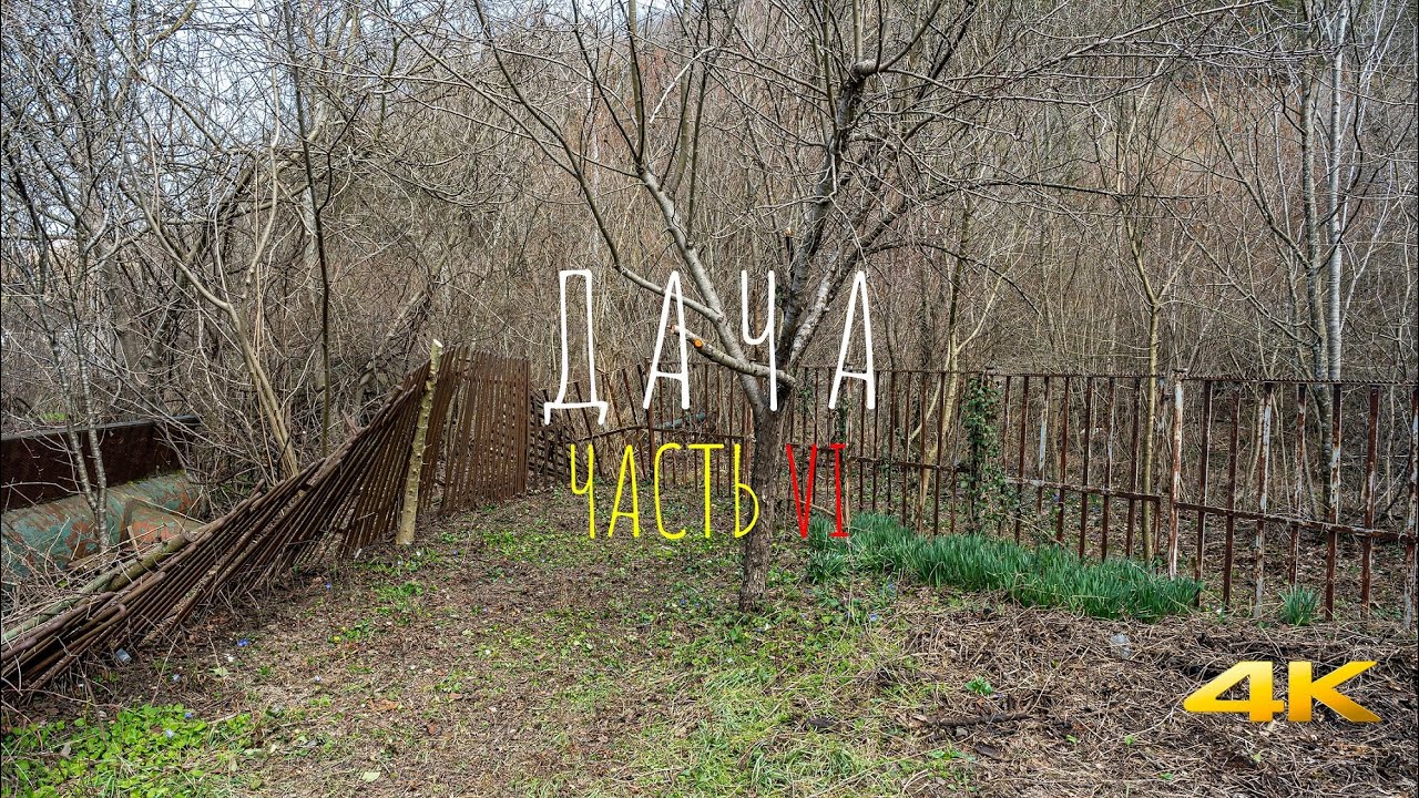 ДАЧА / ЧАСТЬ VI / РАСЧИСТКА ФАСАДА УЧАСТКА