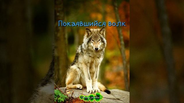 Покаявшийся волк (притча)