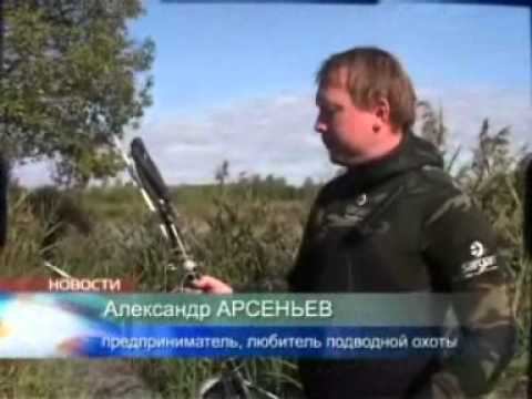 NewsDubna2011-09-21_0001.wmv