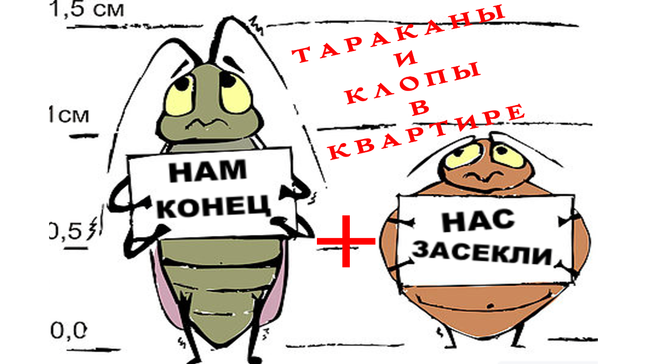 клопы+тараканы.