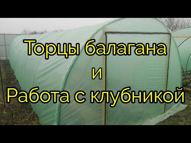 Сделали торцы на балагане. Листовая обработка клубники.