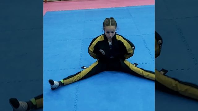 ТКД наши тренировки 2