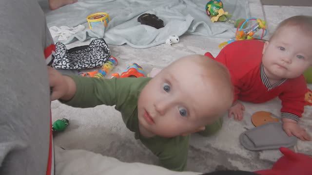 10 февраля 2024