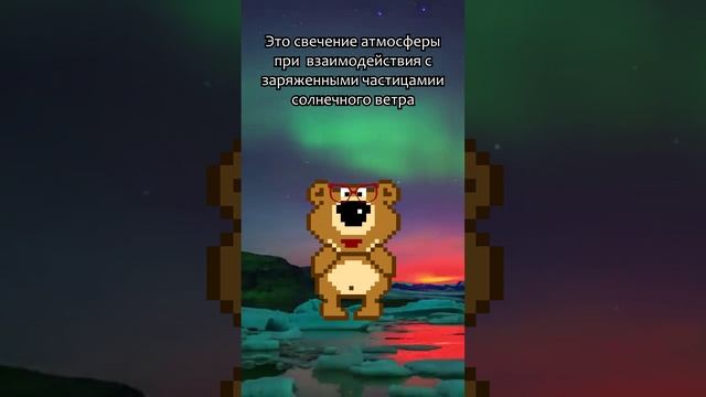 Мишка и Северное сияние