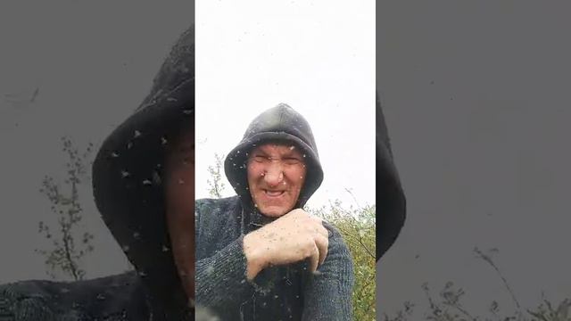 Тундра 2