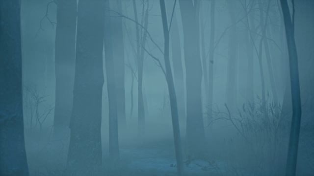 Silent Hill: Ascension: Серия 5