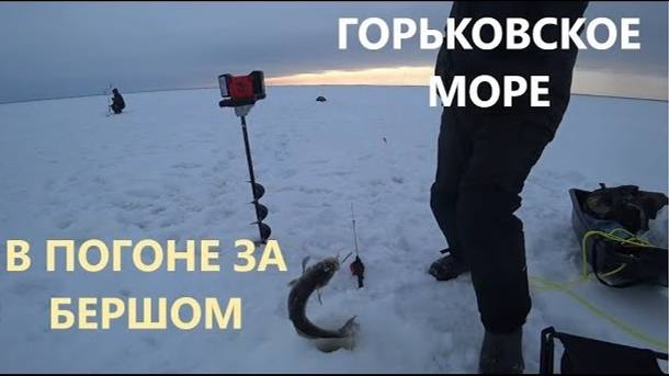 Горьковское море. Рыбалка на берша. Эхолот Практик 8 PRO WI FI