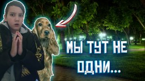НОЧЬ НА СОБАЧЕЙ ПЛОЩЯДКЕ, ИСТОРИЯ ПРО МАНЬЯКА И SCP ЁЛКА ПОЖИРАТЕЛЬ.??