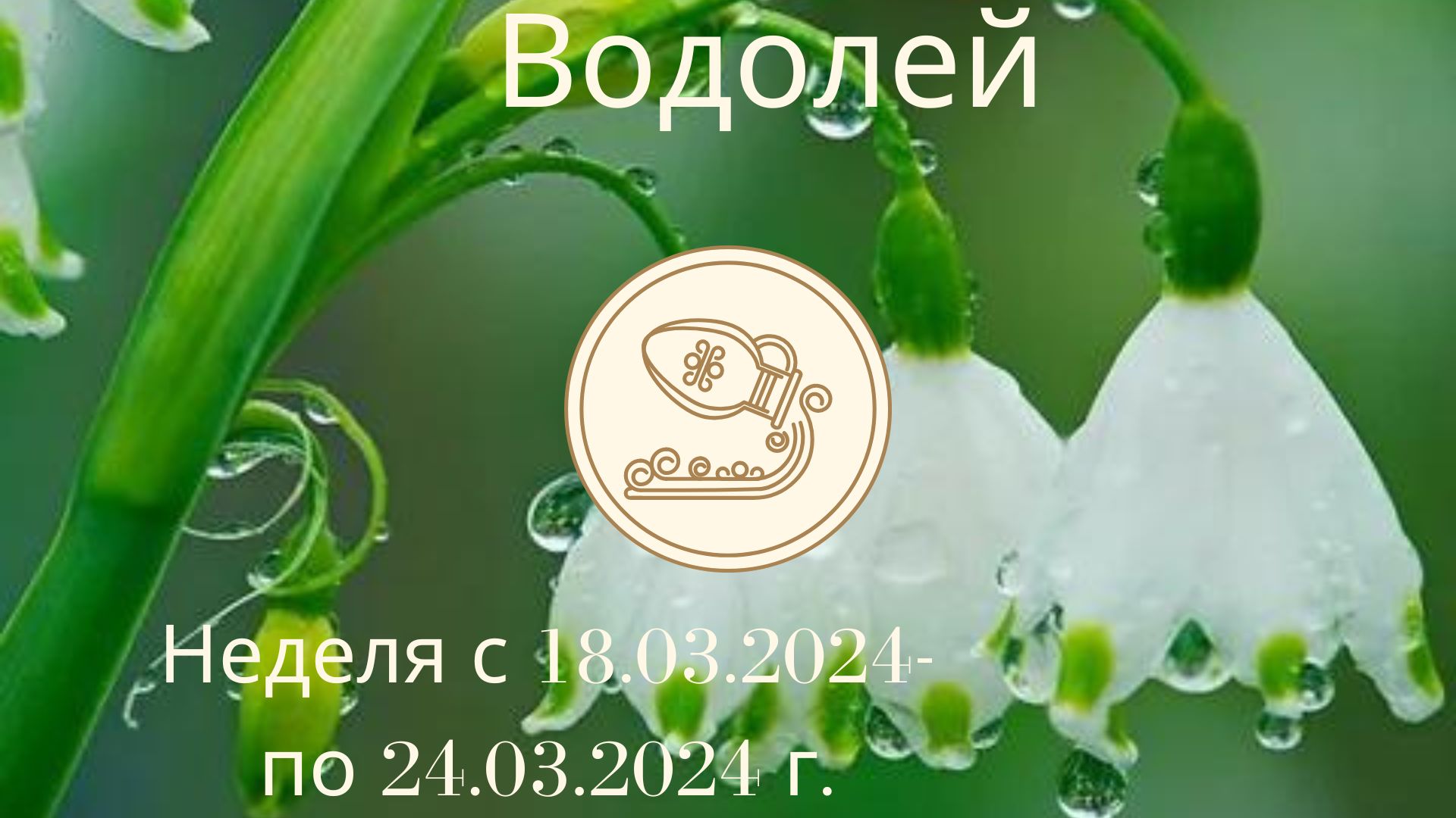 Водолей. Гороскоп на неделю с 18 марта по 24 марта 2024 года.