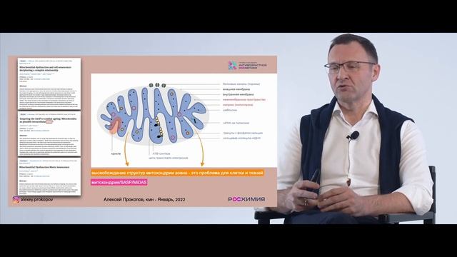 SKIN BIOLOGY 2 сезон: Эпизод 7. Забота о митохондрии - усиление энергии кожи против старения клеток