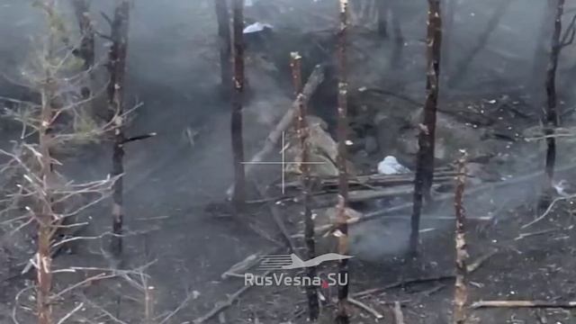 ‼⚔⚡Бойня у Синьковки бойцы ЗВО уничтожили целое подразделение ВСУ в окопах смотреть