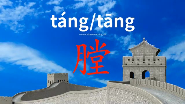 膛 (táng) chest (of body); hollow space; throat