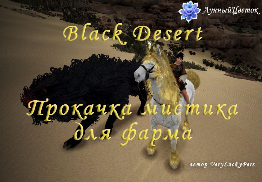 Black desert. Прокачка мистика для фарма.
