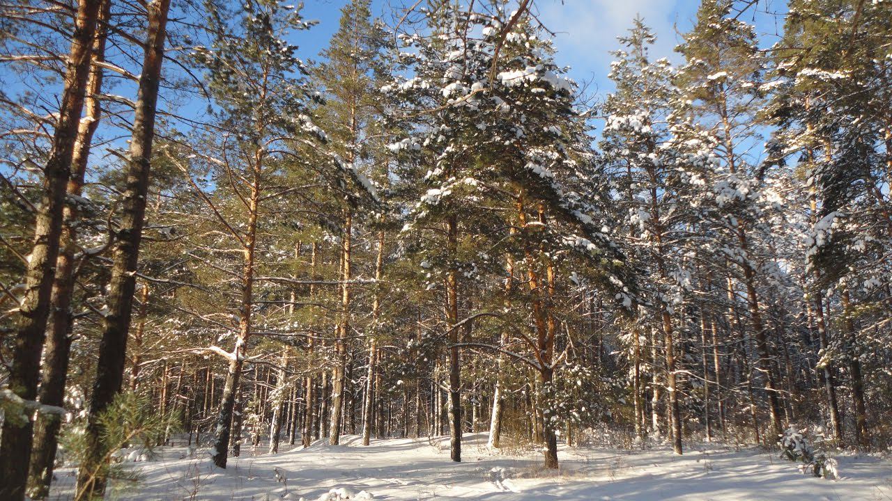 Зимний поход на р. Большая Кокшага