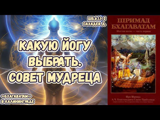 Какую йогу выбрать. Совет мудреца. Сахадев д. ШБ.6.1.1–2