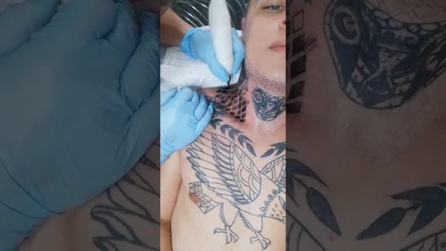 VID-20220624-WA0039.mp4
