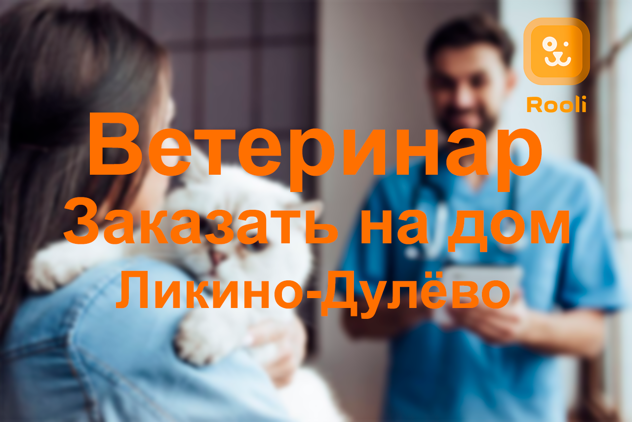 Ветеринар в Ликино-Дулёво: Профессиональная помощь вашим питомцам