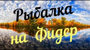 Рыбалка на Кубани район Старого авторынка карасики Отчет Октябрь