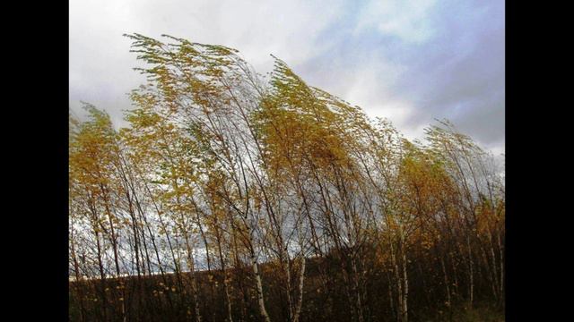 Ветер казачий походный бродячий
